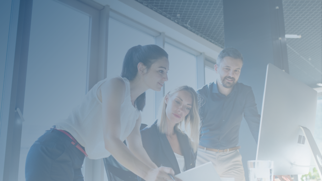 Customer Project Management – Consotius